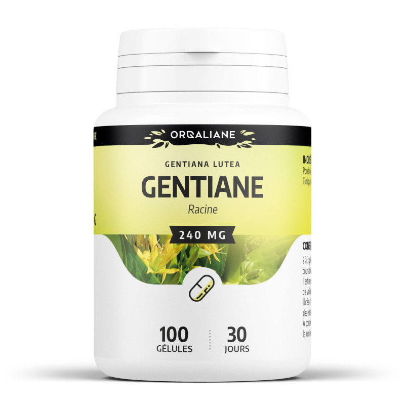 Gentiane 240 mg - Gélules - 123gelules