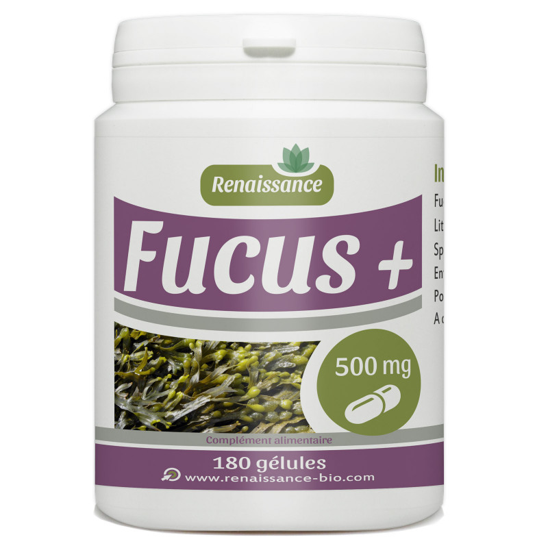 Fucus + 500 mg - 180 gélules - Fucus - Lithothamne - Spiruline