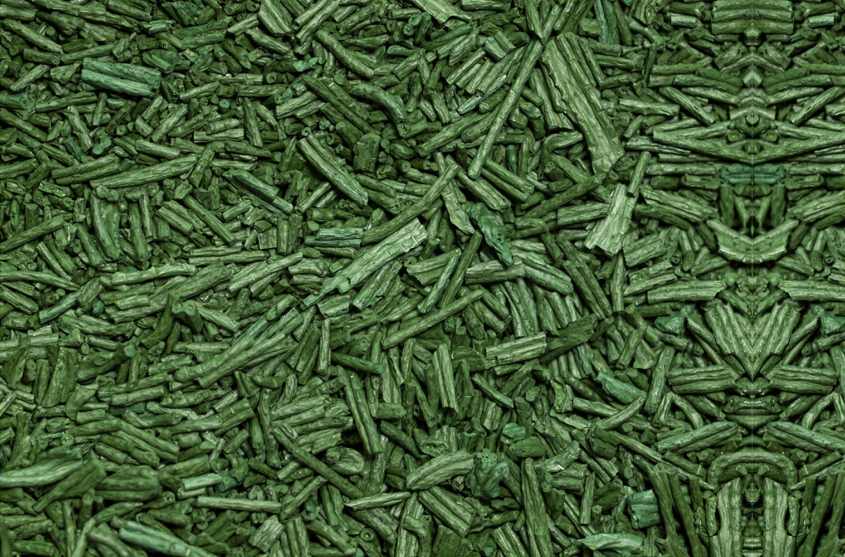 Super-aliment, explication : Qu’est-ce que la spiruline